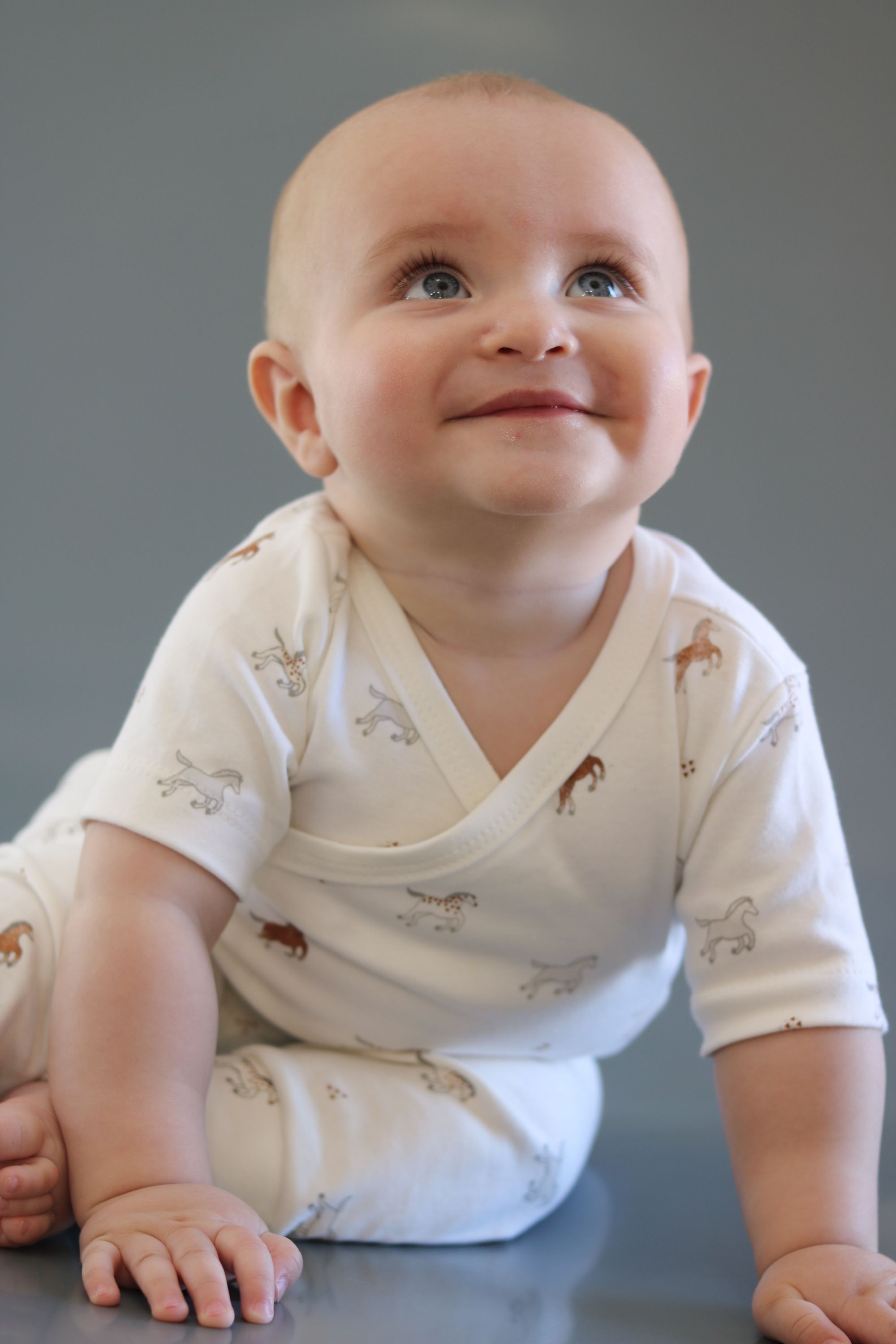 Body Kimono Manga Curta - Chevaux | Um Balalum